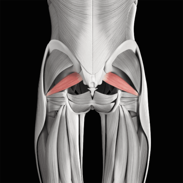 Stretching Handouts | For Pelvic Pain Physical Therapy | AZCCPP