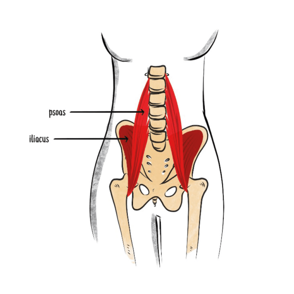 Stretching Handouts | For Pelvic Pain Physical Therapy | AZCCPP
